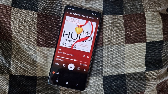 Boekrecensie: De hulp ziet alles – Freida McFadden